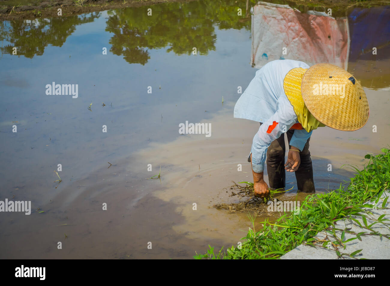 Govithana hi-res stock photography and images - Alamy