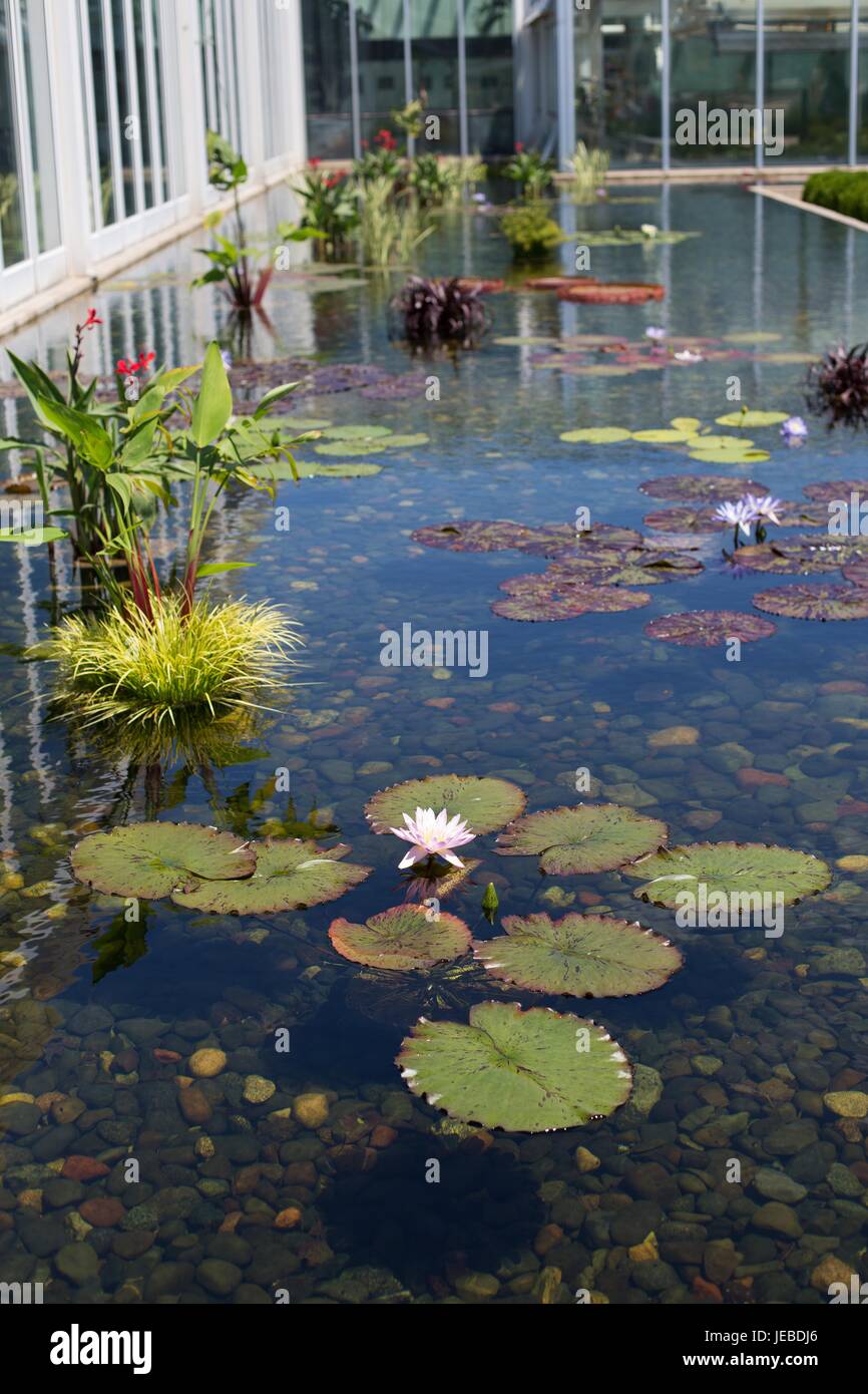 Como zoo and conservatory hi-res stock photography and images - Alamy