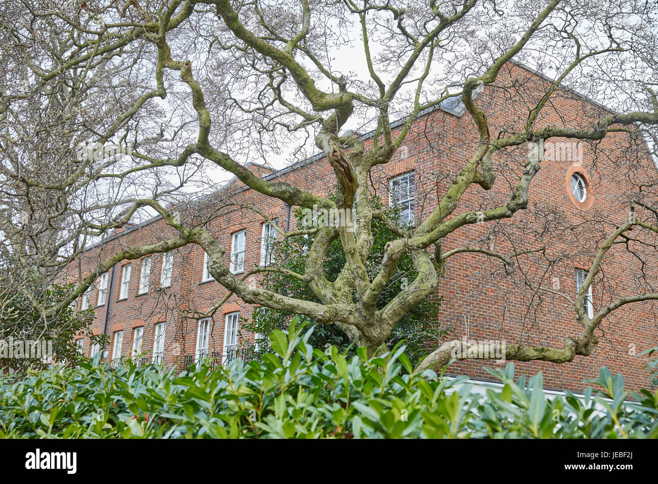 Addison Road, London, UK Stock Photo - Alamy