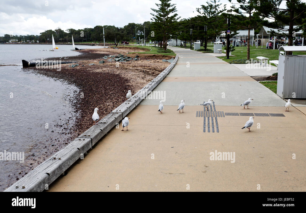View of Woody Point foreshore in the southern end of the Redcliffe ...