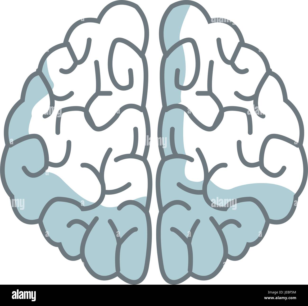 human brain organ health memory anatomy Stock Vector Image & Art - Alamy