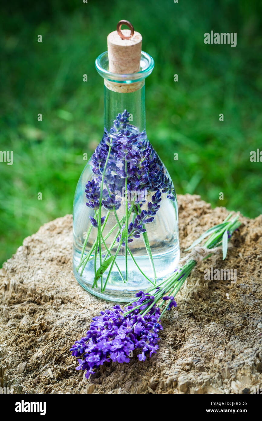 Homemade healthy tincture of lavender in summer garden Stock Photo - Alamy