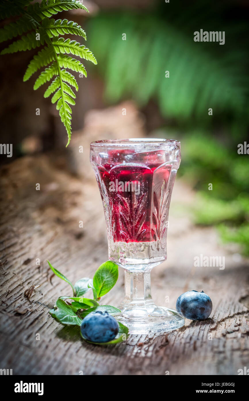 Liqueur made of alcohol and blueberries in forest Stock Photo - Alamy