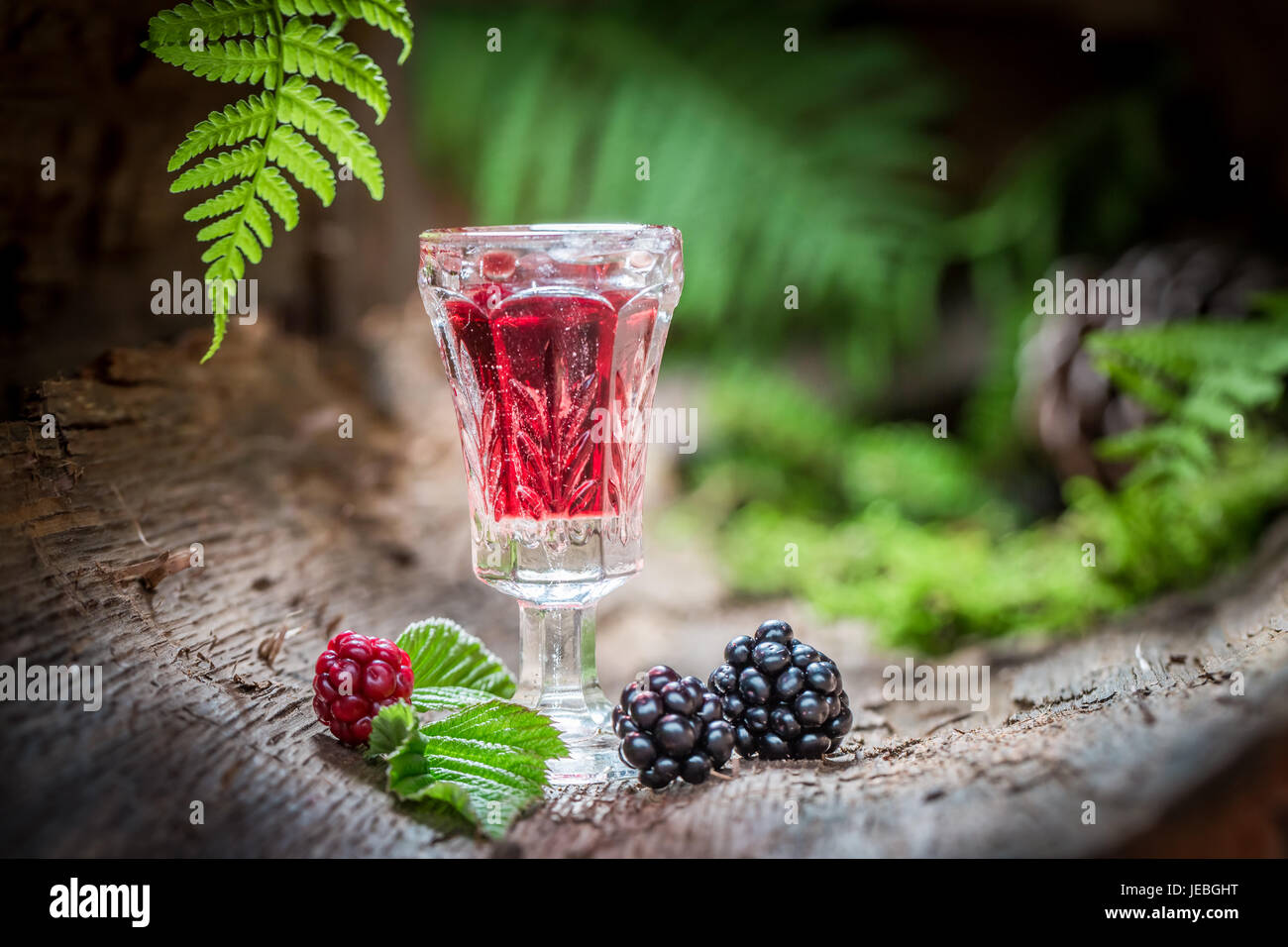 Sweet liqueur made of alcohol and blackberries in forest Stock Photo ...