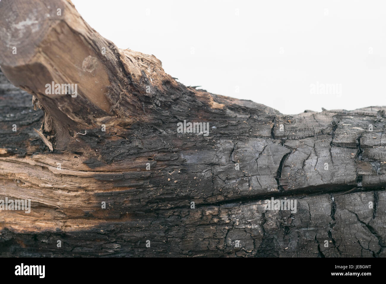 Burnt wood texture Stock Photo - Alamy