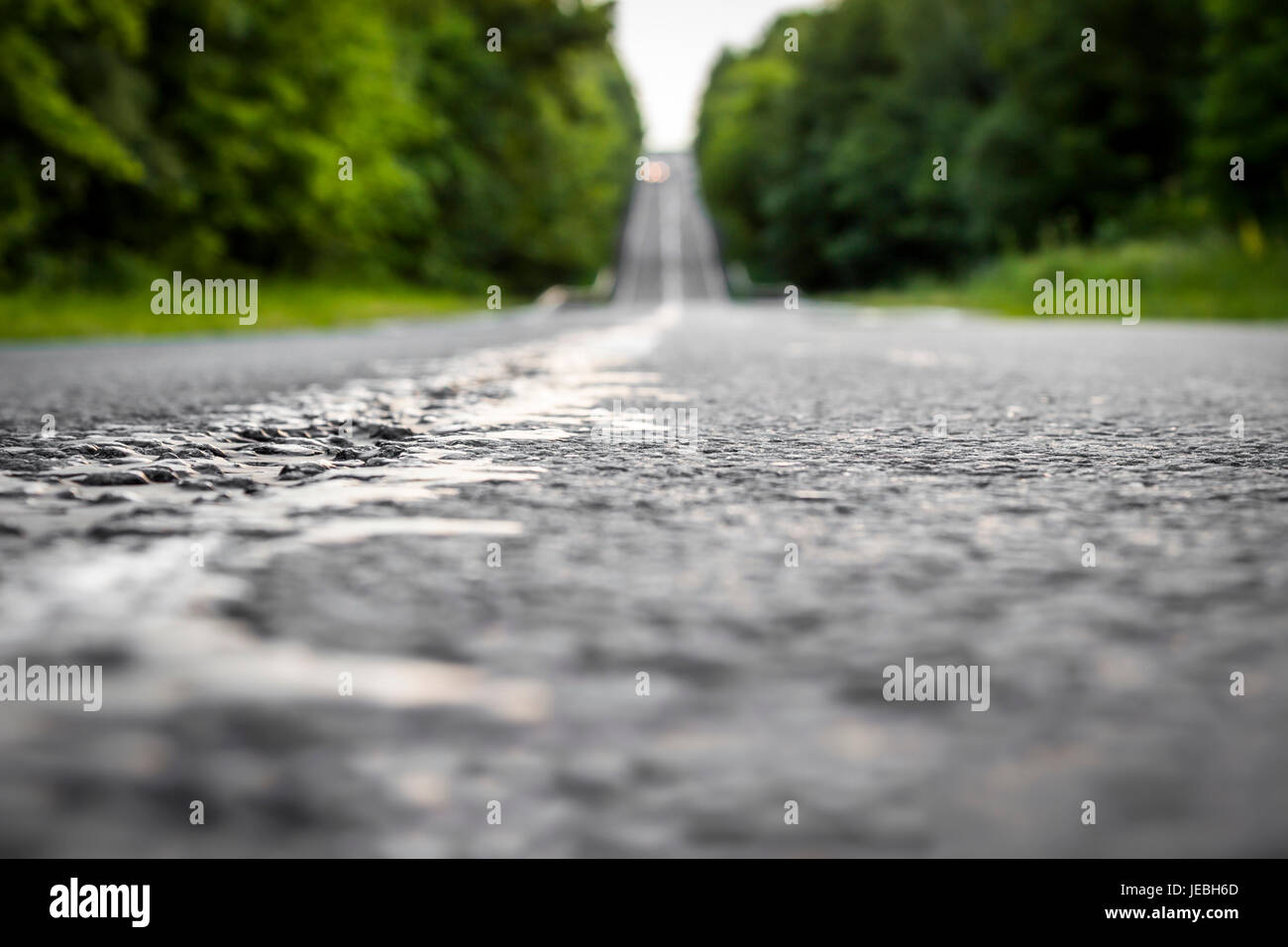 The road receding into the distance through the woods close-up as an ...