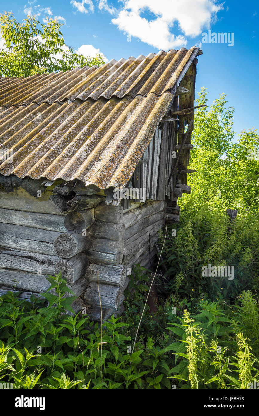 Part of the abandoned old wooden hut, overgrown with grass Stock Photo ...