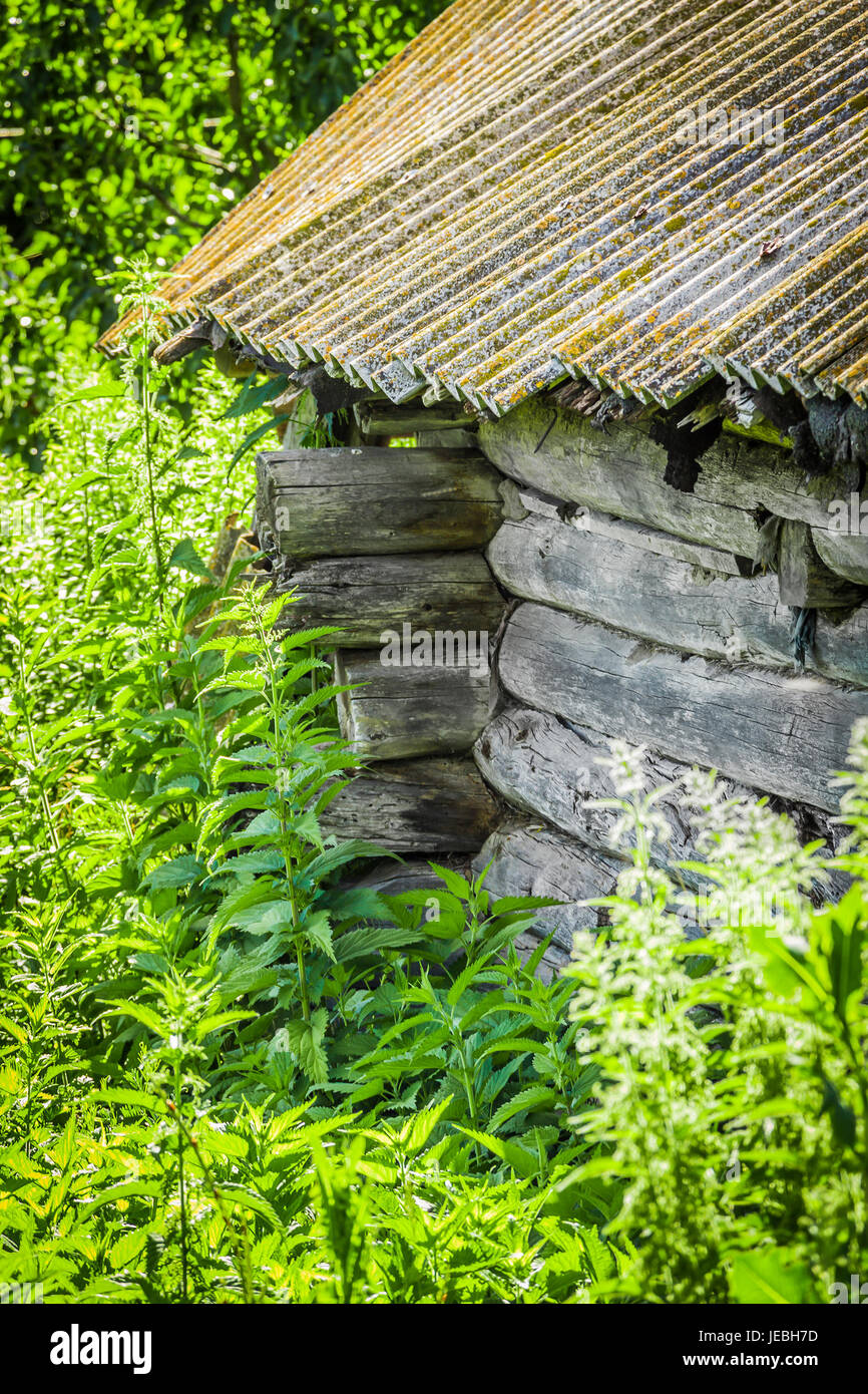 Part of the abandoned old wooden hut, overgrown with grass Stock Photo ...