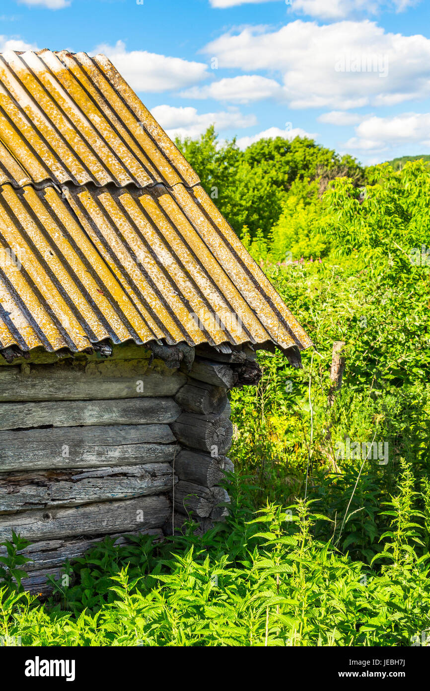 Part of the abandoned old wooden hut, overgrown with grass Stock Photo ...