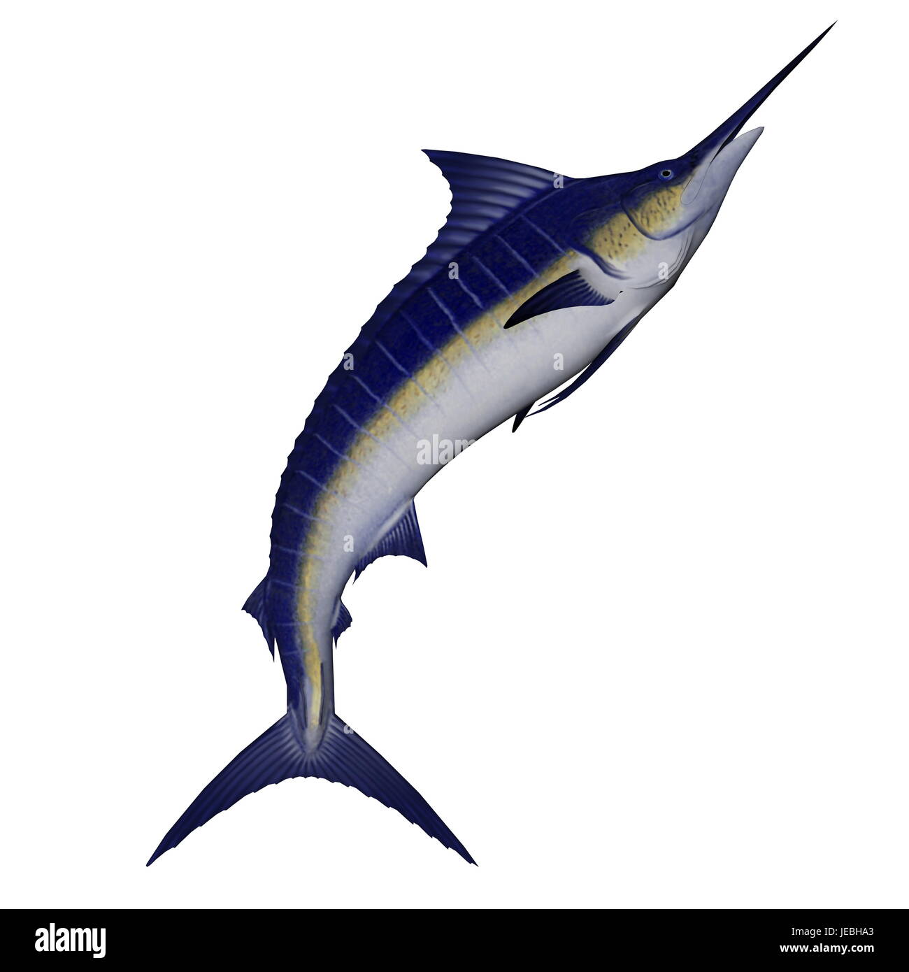 White Marlin Jumping