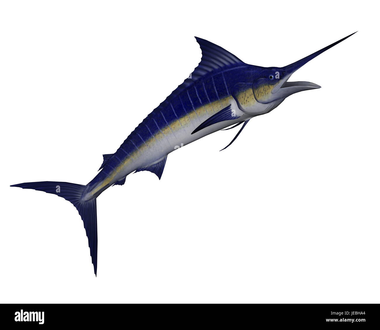 Marlin fish jump isolated in white background - 3D render Stock Photo ...