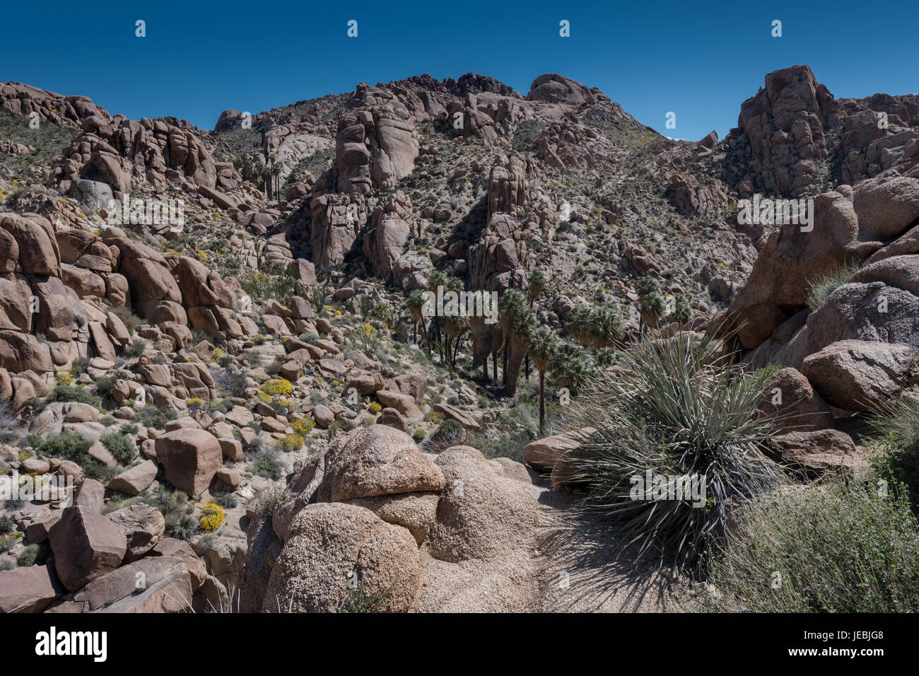 Dry Desert Scene Stock Photo - Alamy