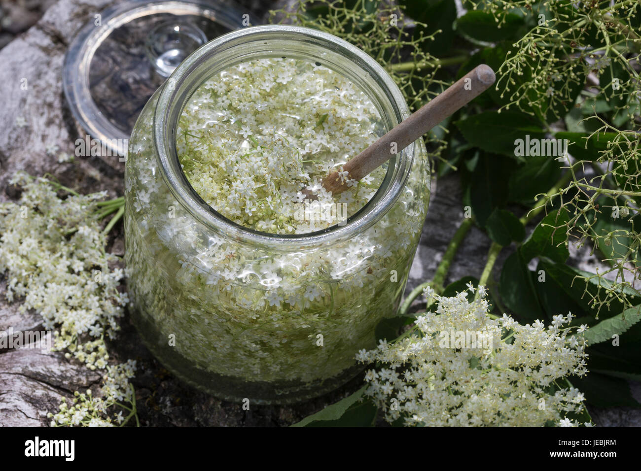 Holunderblüten-Sirup, Holunderblütensirup, Sirup aus Holunderblüten ...