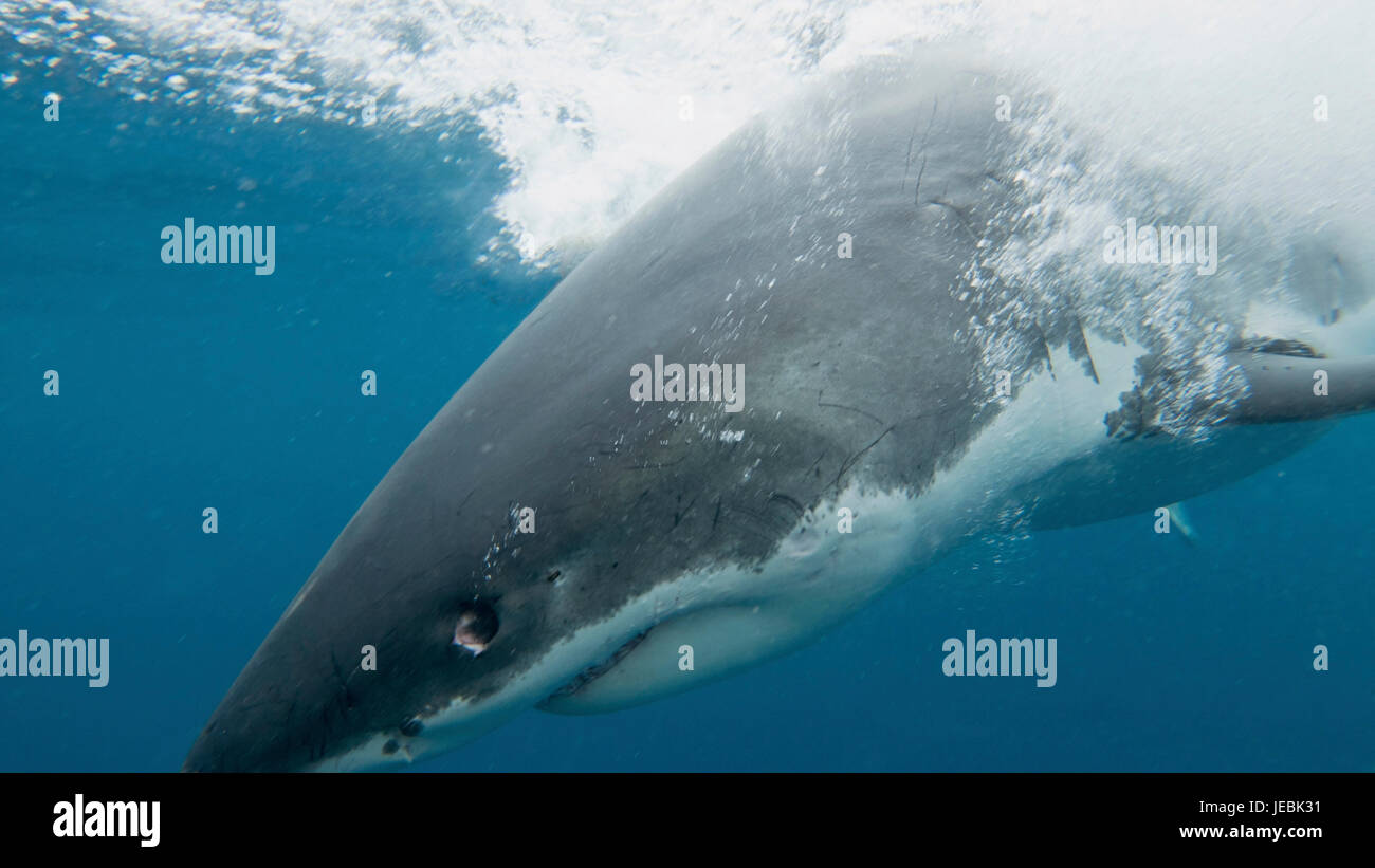 Neptune islands hi-res stock photography and images - Alamy