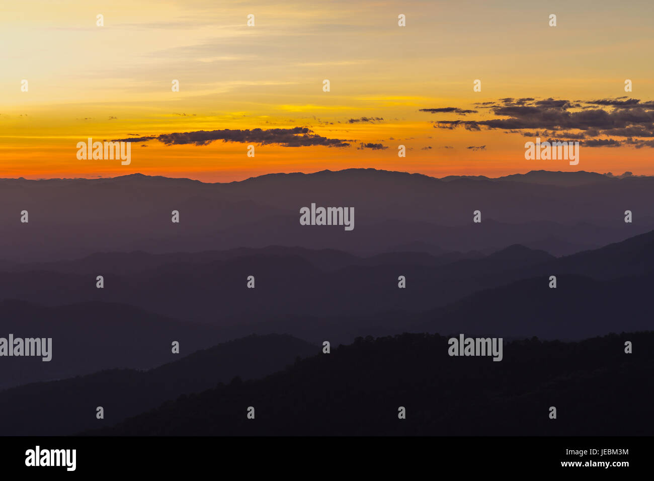 Beautiful golden sunset over forest hi-res stock photography and images ...