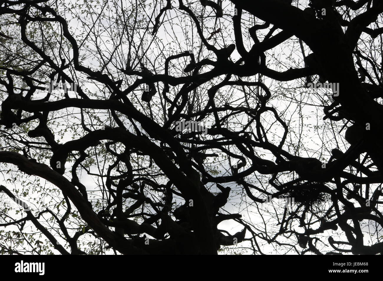 Shadow and curve hi-res stock photography and images - Alamy