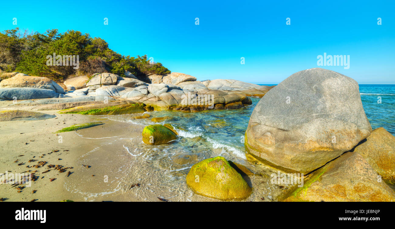 grey rocks in Musculedda beach,Sardinia Stock Photo - Alamy
