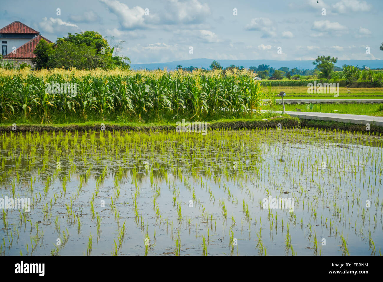 Cropping on terraces hi-res stock photography and images - Alamy