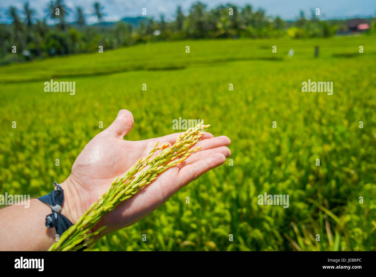 Govithana hi-res stock photography and images - Alamy