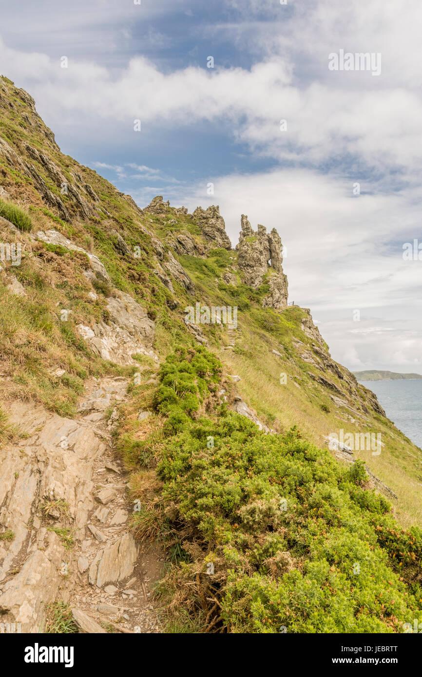 The South West Coast Path climbing up to Sharp Tor, Devon Stock Photo ...