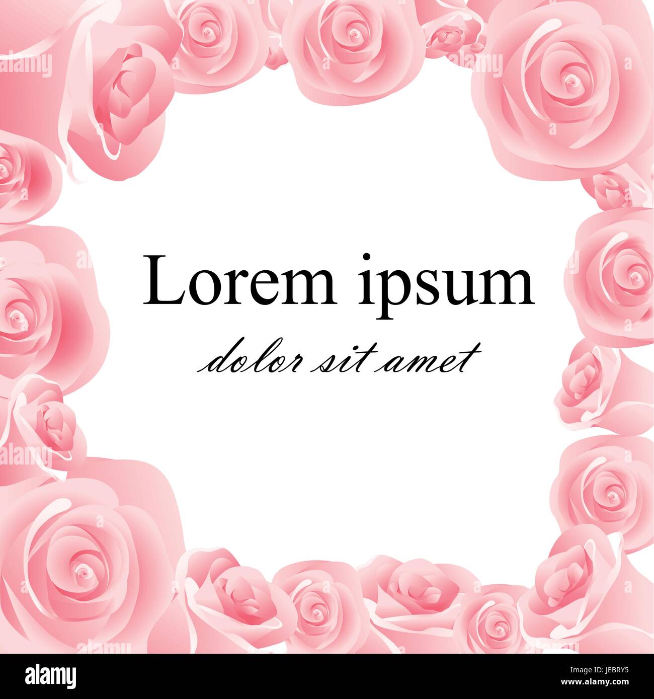 Red rose on white background. Vector illustration. Web site page and ...