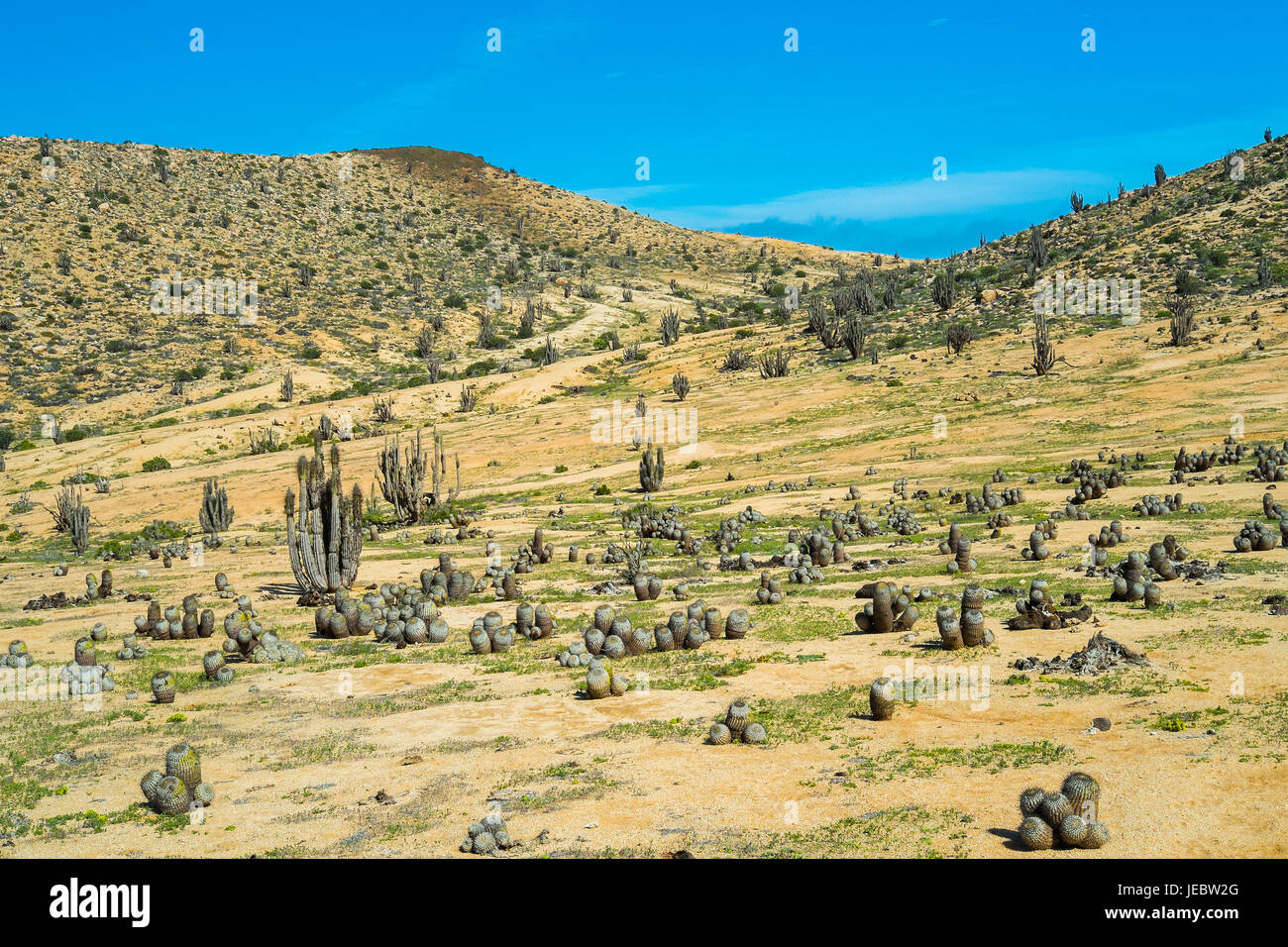 Parque nacional pan de azúcar hi-res stock photography and images - Alamy