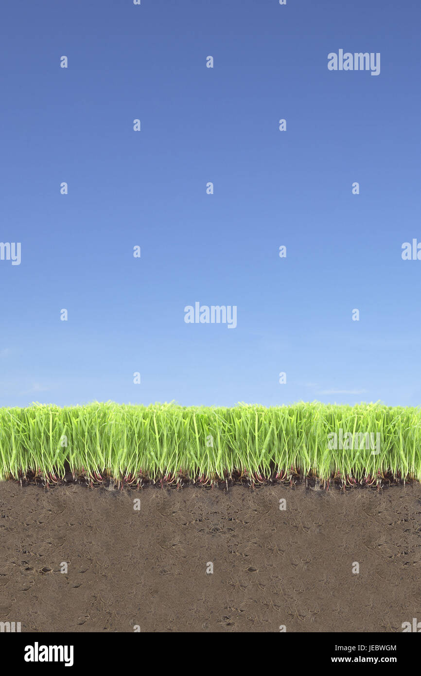Surface of the earth, cross section, grass, ground, heaven Stock Photo ...