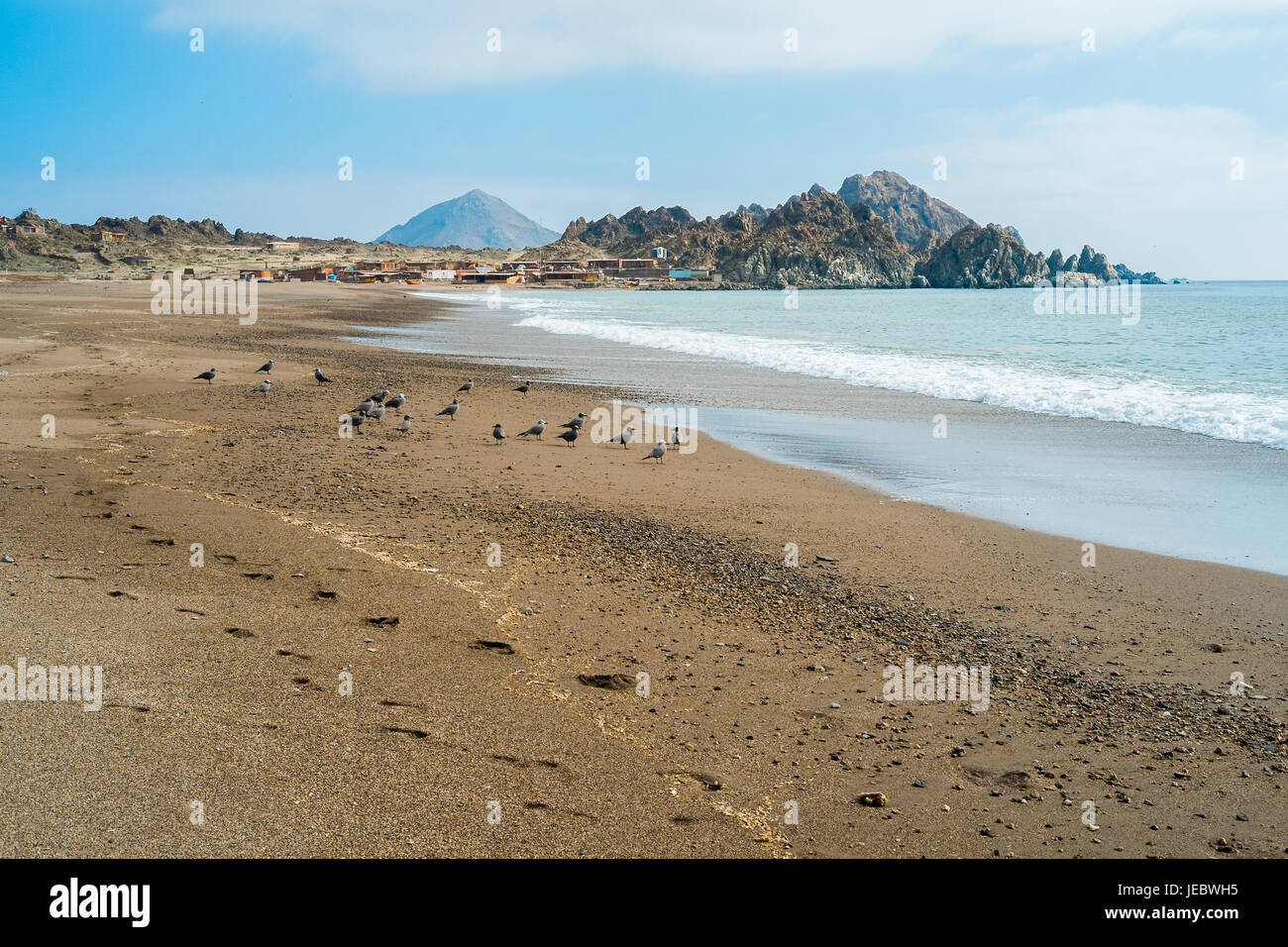 Beach in Parque Nacional Pan de Azucar, Chile Stock Photo - Alamy