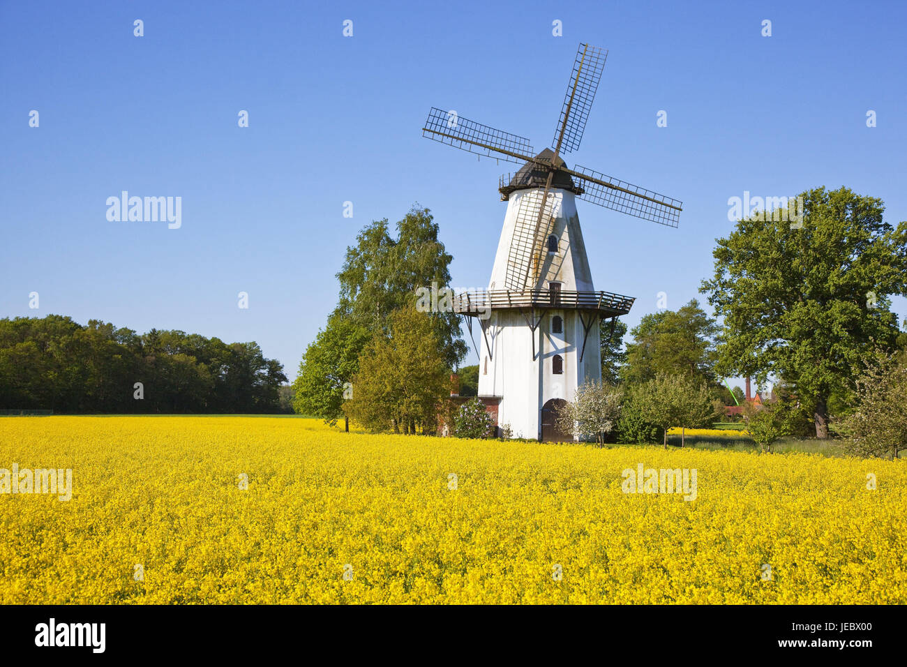 Germany, Lower Saxony, Diepenau, gallery mill, mill, windmill, wind ...
