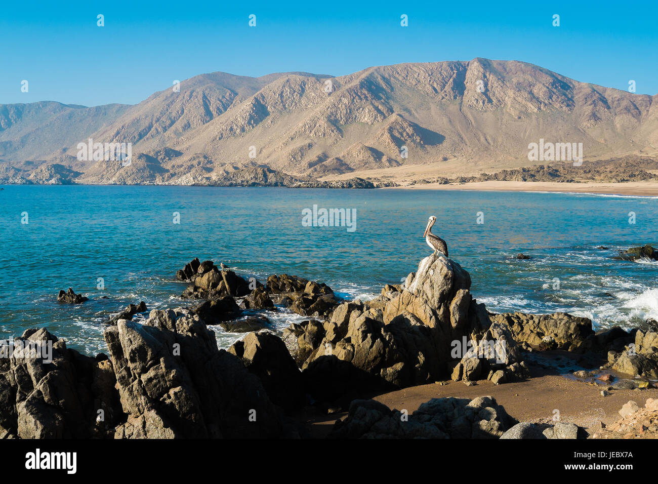 Coast in Parque Nacional Pan de Azucar, Chile Stock Photo - Alamy