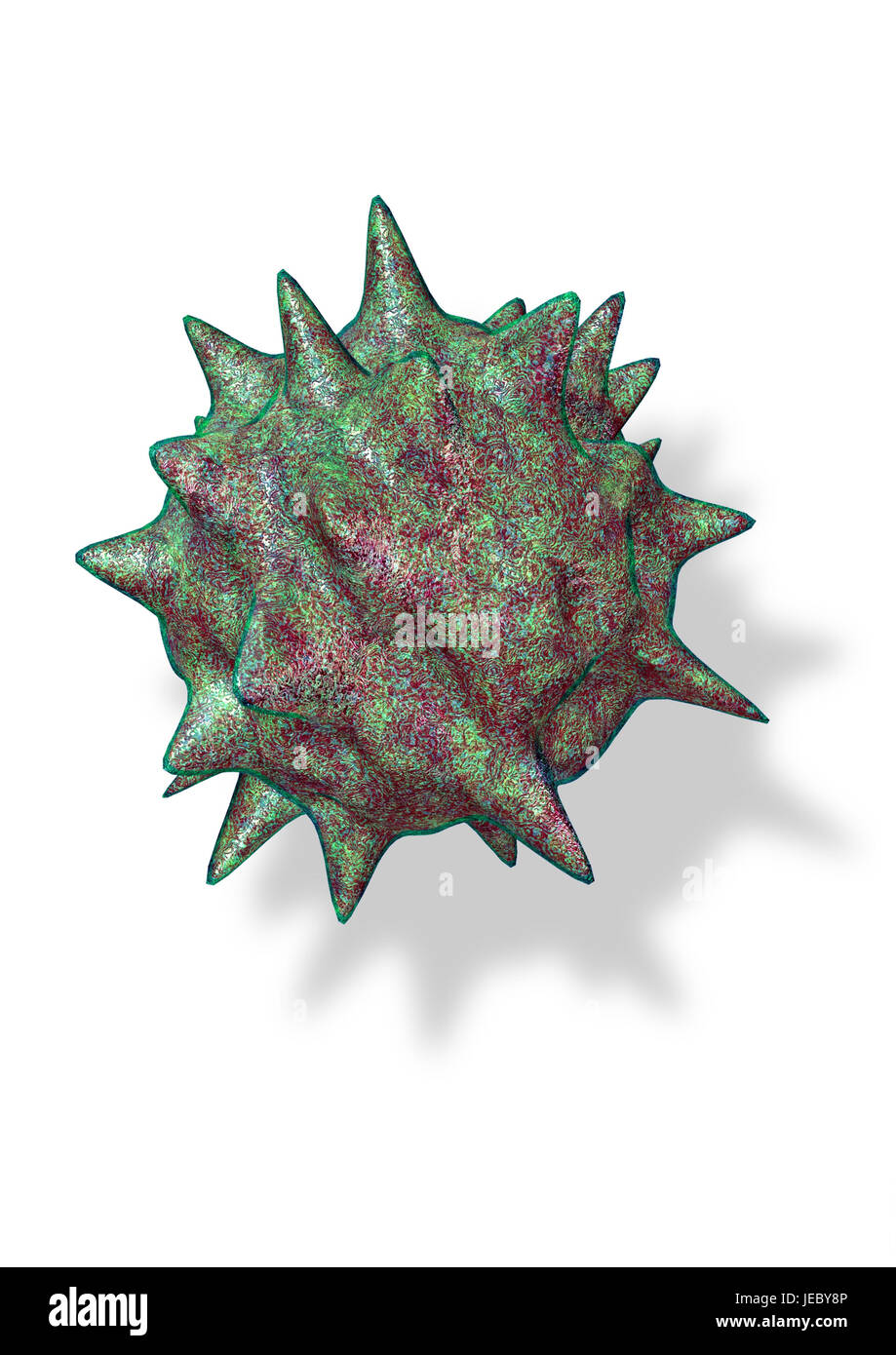 Operating system bug Cut Out Stock Images & Pictures - Alamy