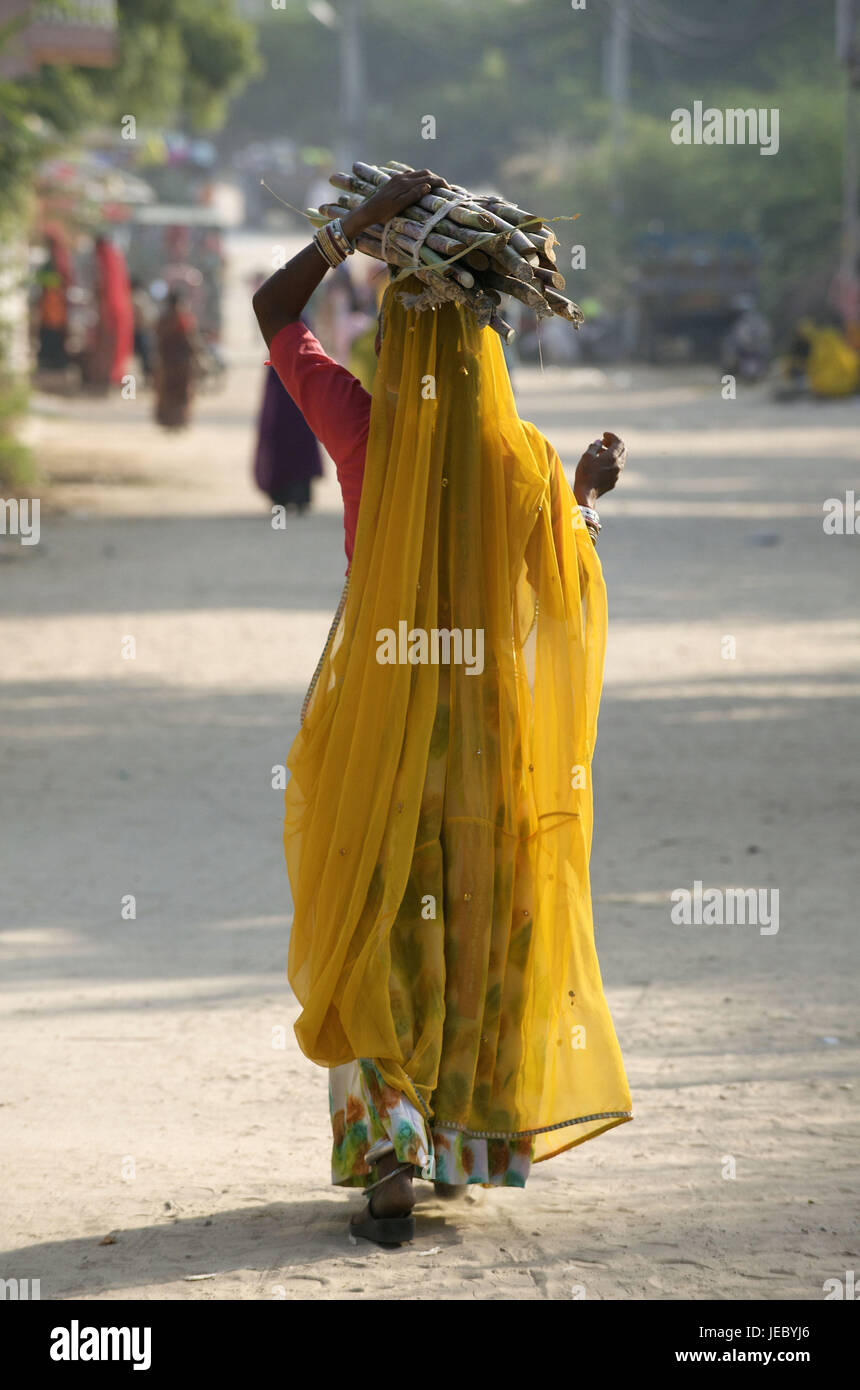 India, Rajasthan, Pushkar, woman in the yellow sari carries firewood on ...