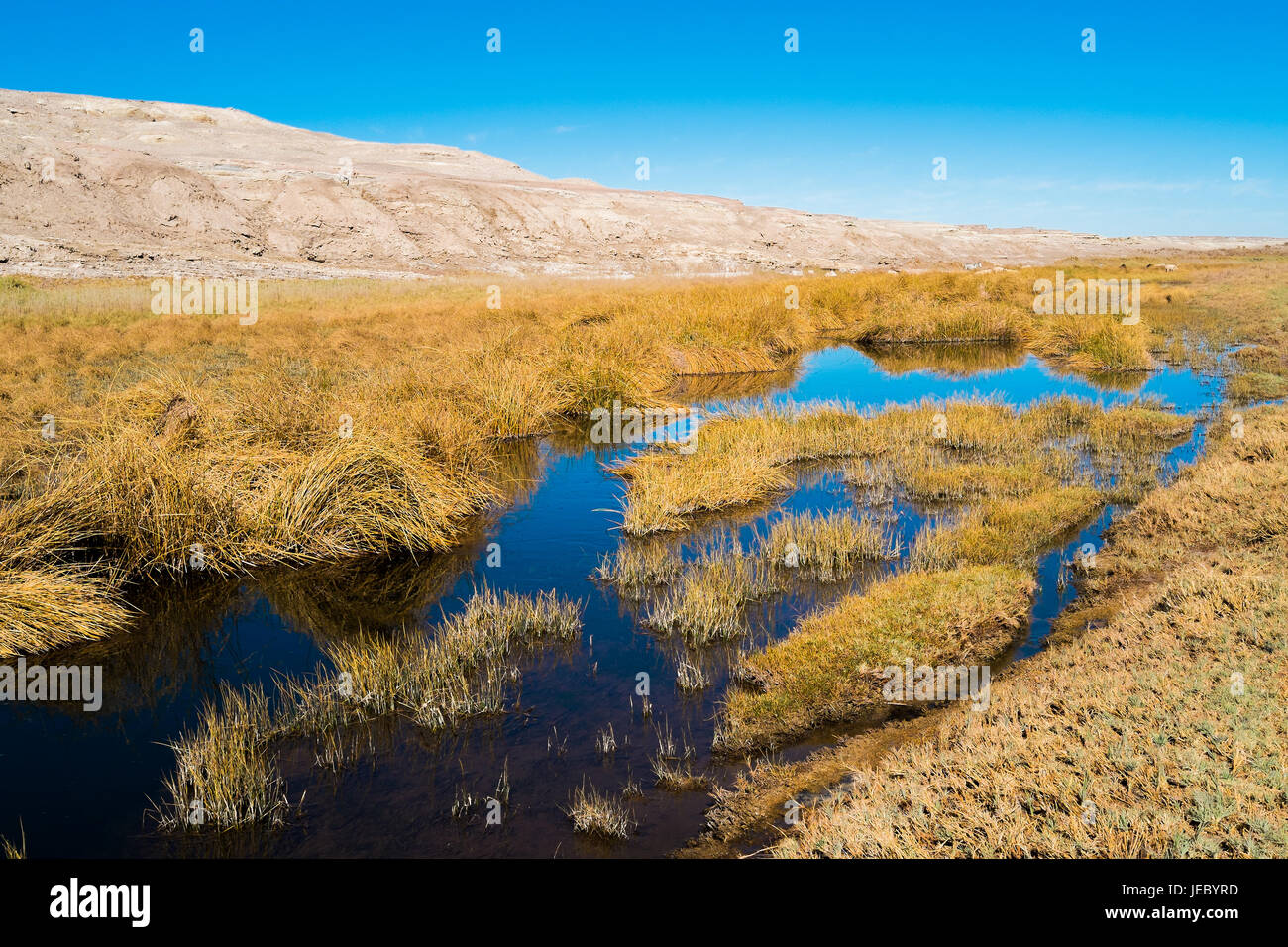 River in a canyon in Chiu Chiu, Calama, Chile Stock Photo - Alamy