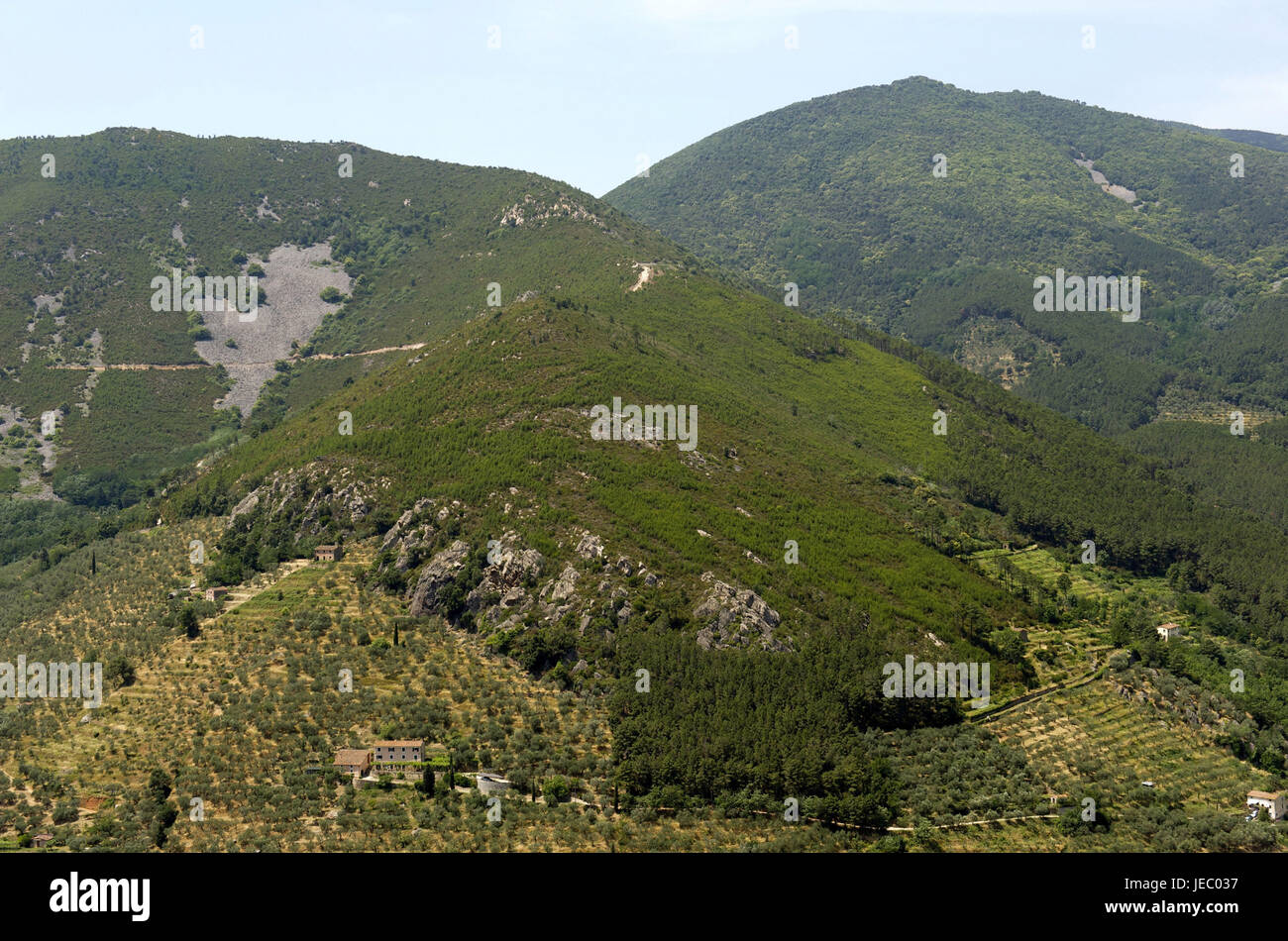 Italy, Tuscany, Monte Pisano, Buti, forest landscape Stock Photo - Alamy