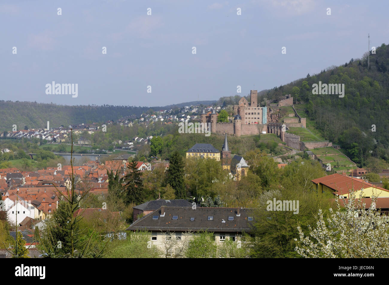 Castle ruin, value home, the Main, Baden-Wurttemberg, Germany Stock ...