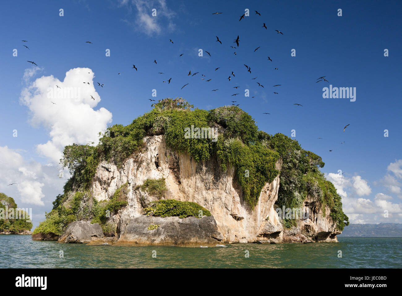 Vogel's island La Cacata, national park batch Haitises, the Dominican ...