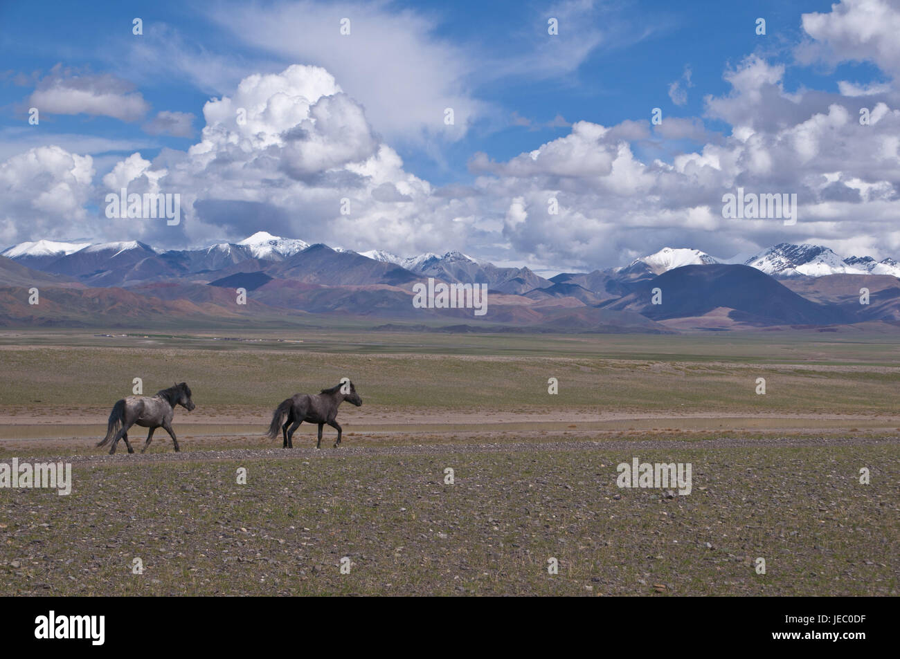 Tundra snow asia hi-res stock photography and images - Alamy