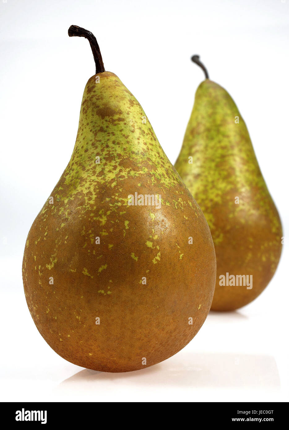 Conference pears, Pyrus communis, fruits, white background Stock Photo ...