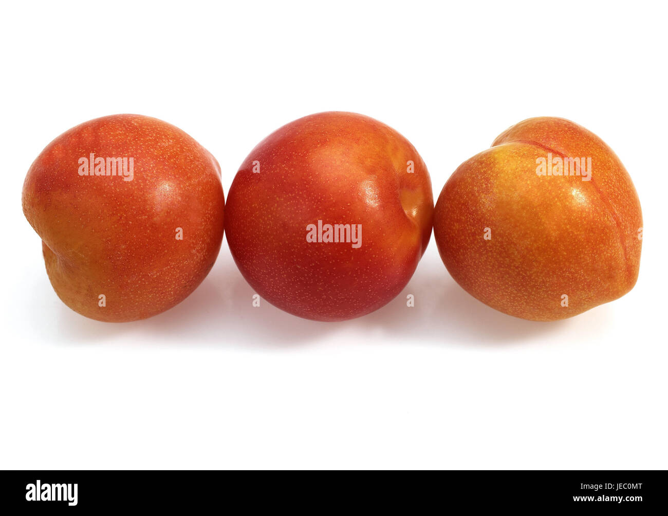 Yellow plums, Prunus domestica, white background Stock Photo - Alamy
