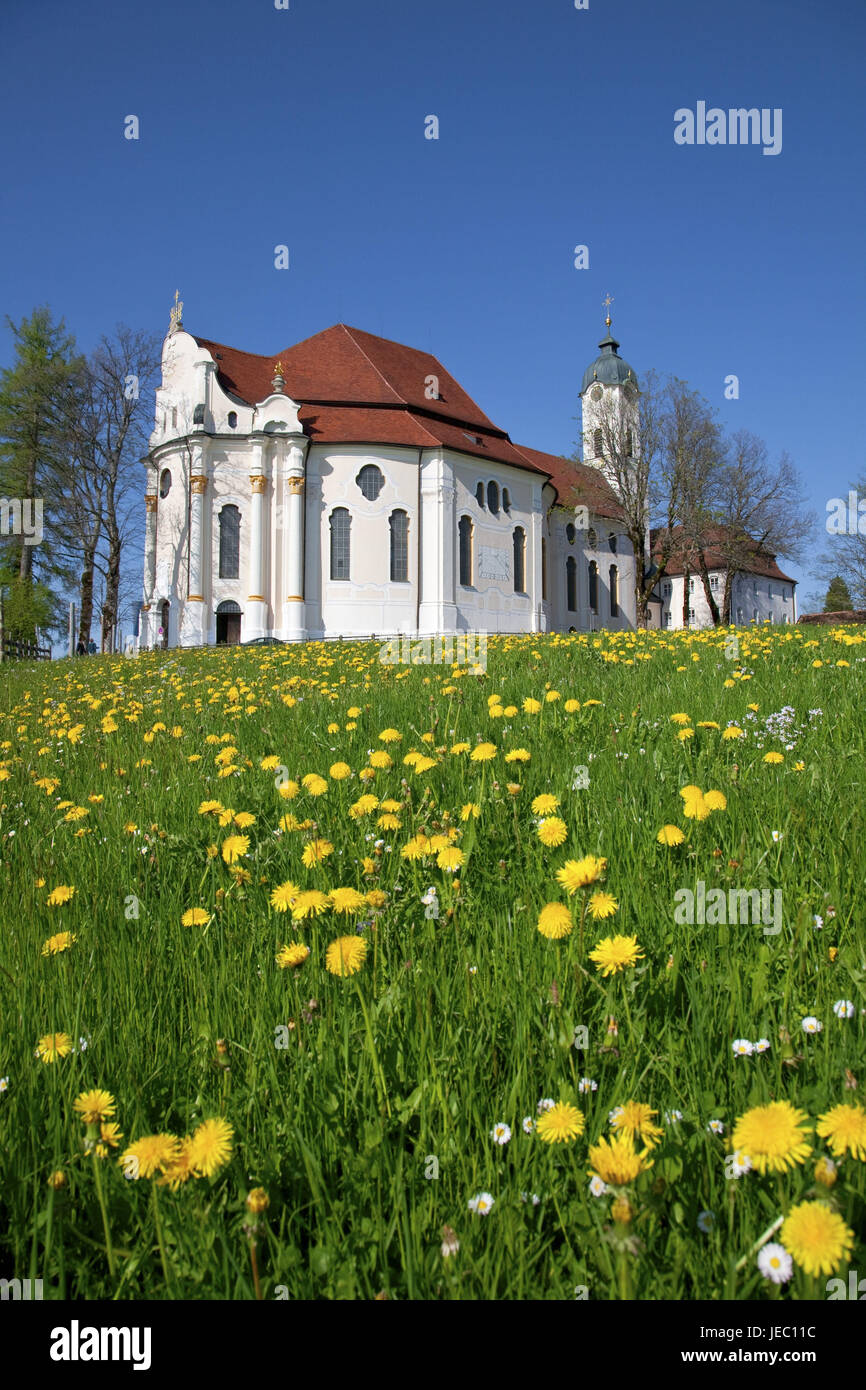 Wieskirche in the priest's angle, Showing, Steingaden, Upper Bavaria ...