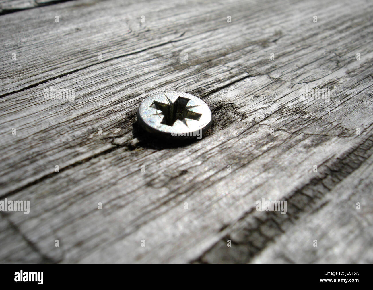 Wood screw, close up Stock Photo - Alamy