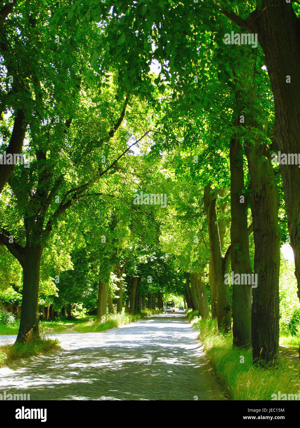 Green avenue hi-res stock photography and images - Alamy