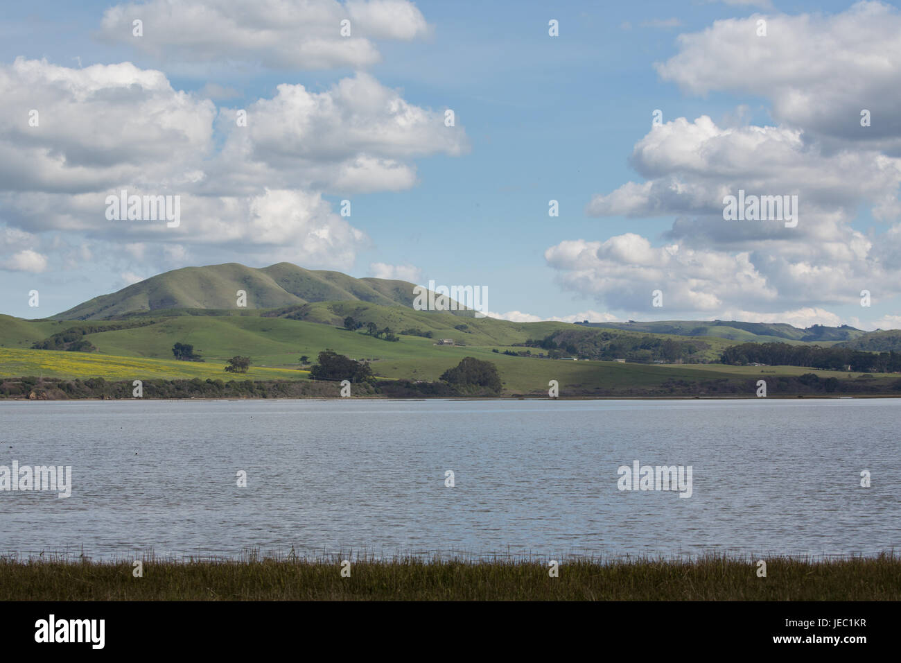Idyllic Lake and green hills beneath blue skies in Marin county ...