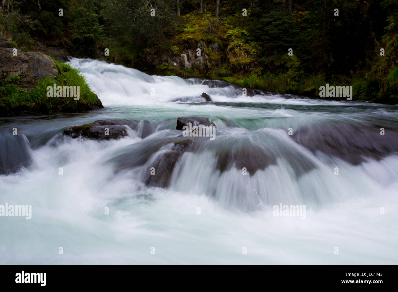 Beautiful, wild, fast flowing wilderness river creates interesting ...