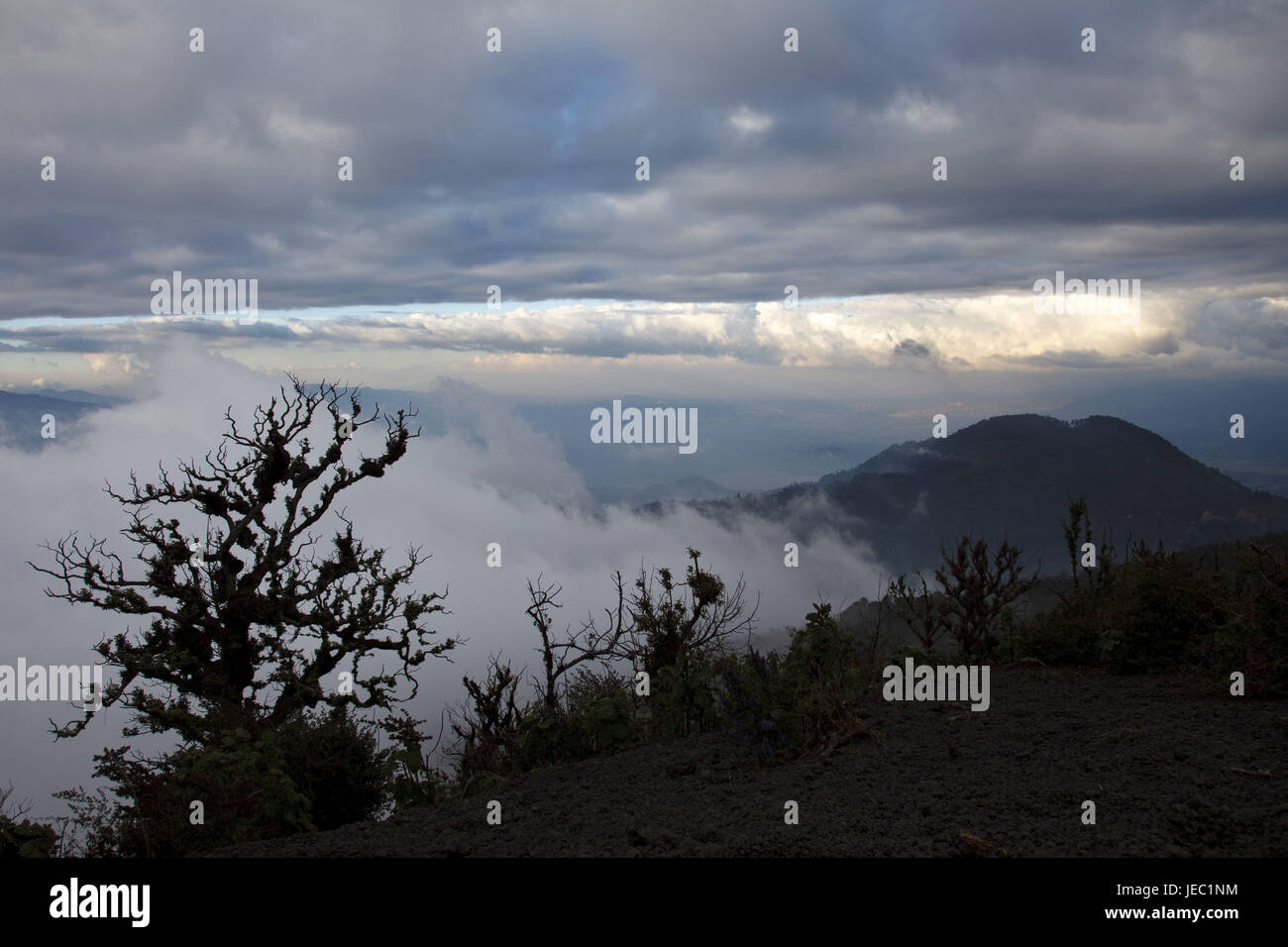 Pacaya volcano, guatemala hi-res stock photography and images - Alamy