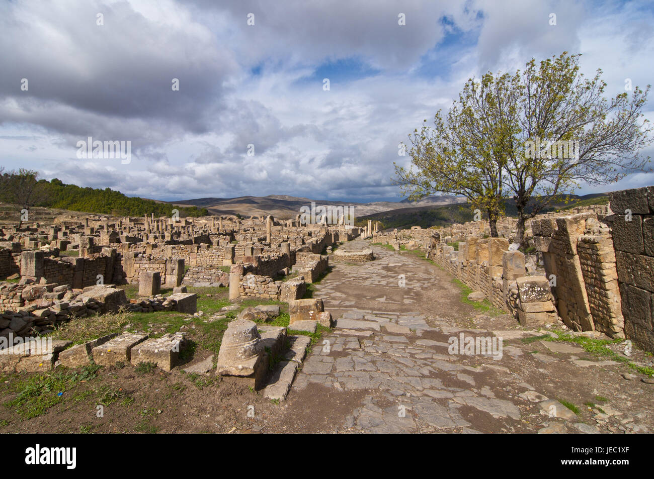 The Roman ruins of Djémila, UNESCO-world cultural heritage, Algeria ...