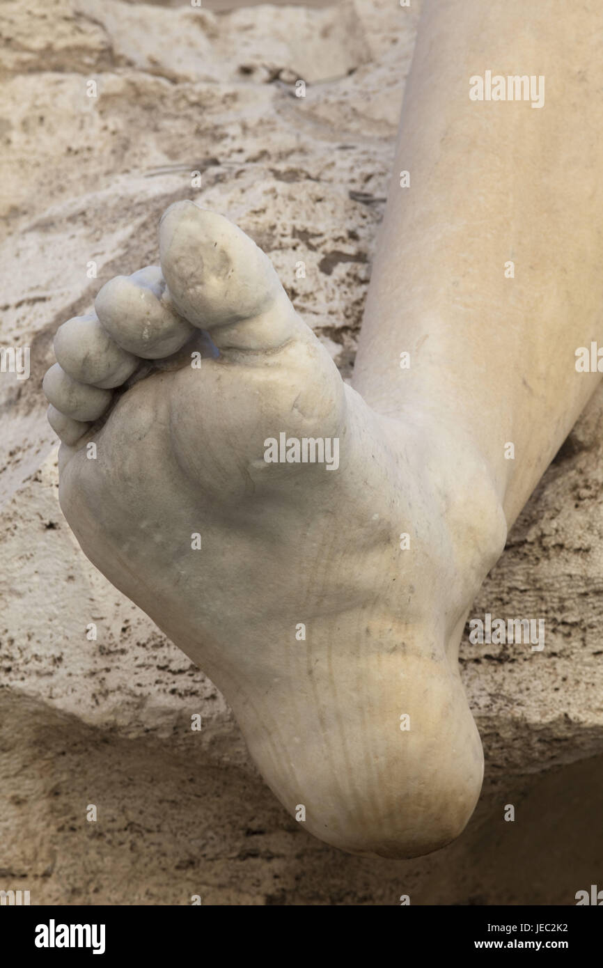 Four toes each foot hi-res stock photography and images - Alamy