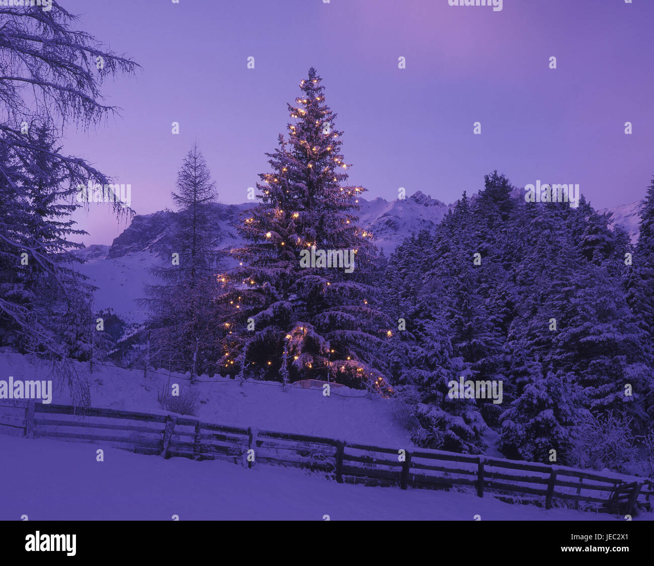 Christmas tree the alps hi-res stock photography and images - Alamy