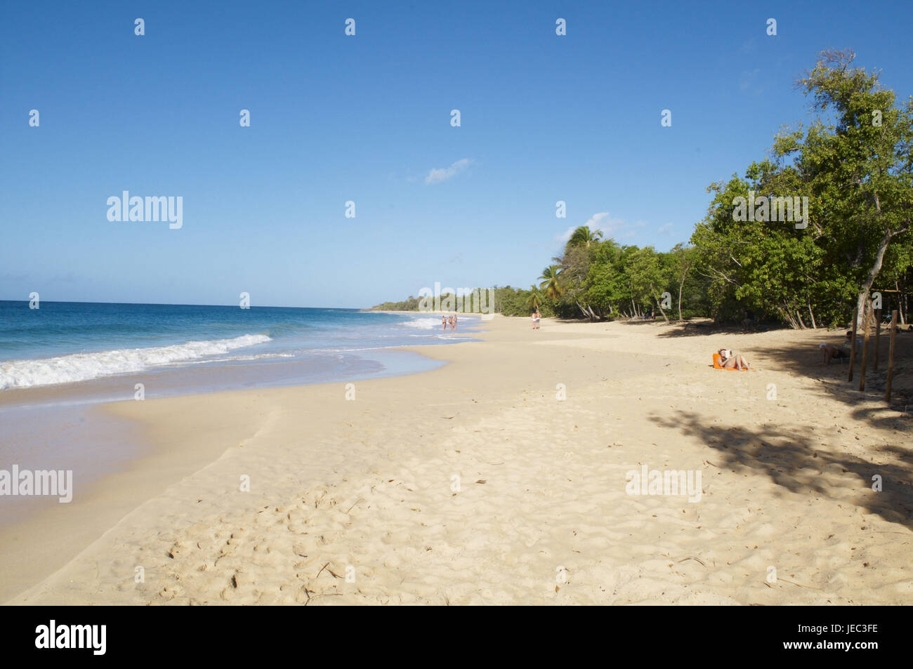 Martinique, tourist in the Sainte Anne beach Stock Photo - Alamy