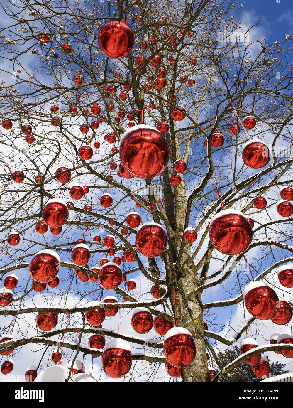 Austria christmas tree hi-res stock photography and images - Alamy